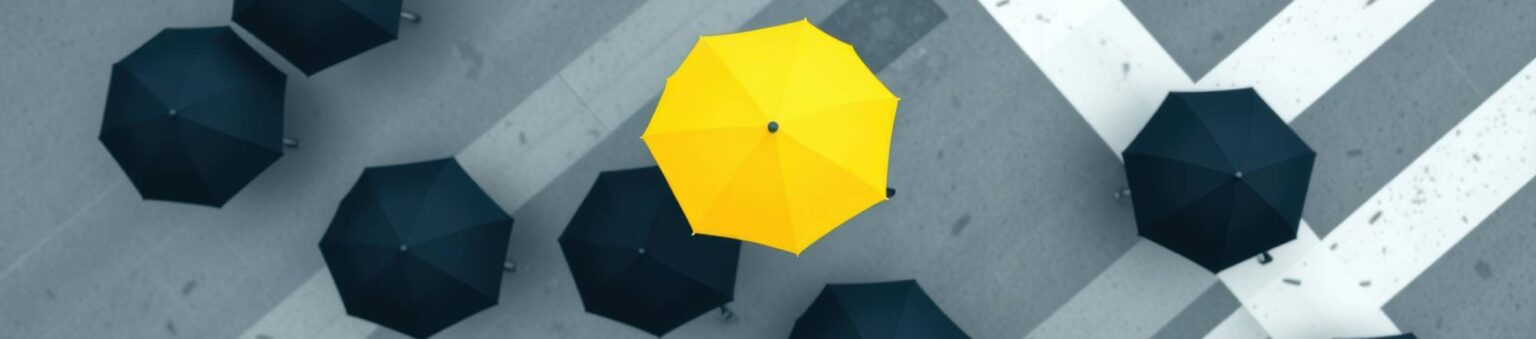 SBIR and STTR Audit Requirements - Rubino